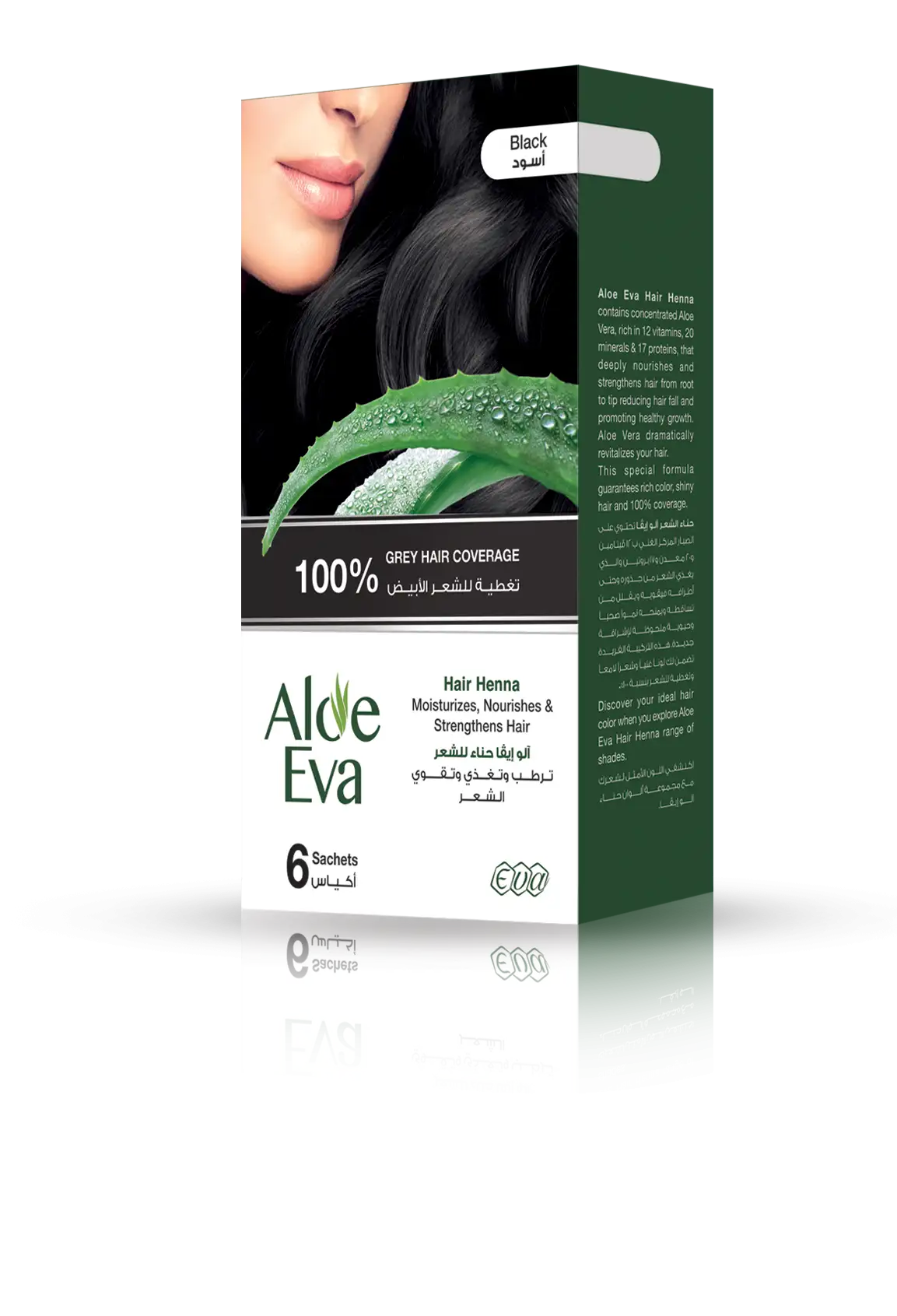 Aloe Eva Hair Henna Black ( 6 sachets * 10 Gm ) – EVA Shop